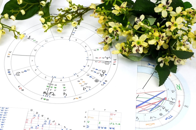 Birth Chart Love Compatibility: Complete Guide to Astrological ...